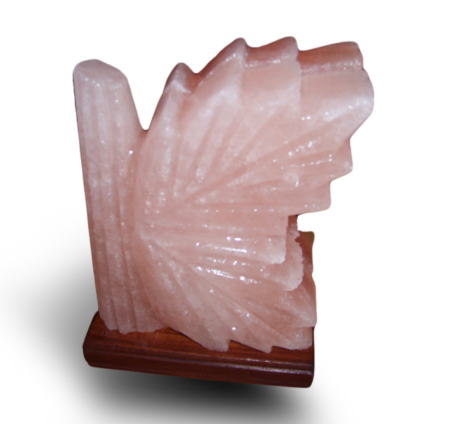 LEAF SHAPE SALT LAMP | SALTROCKPK